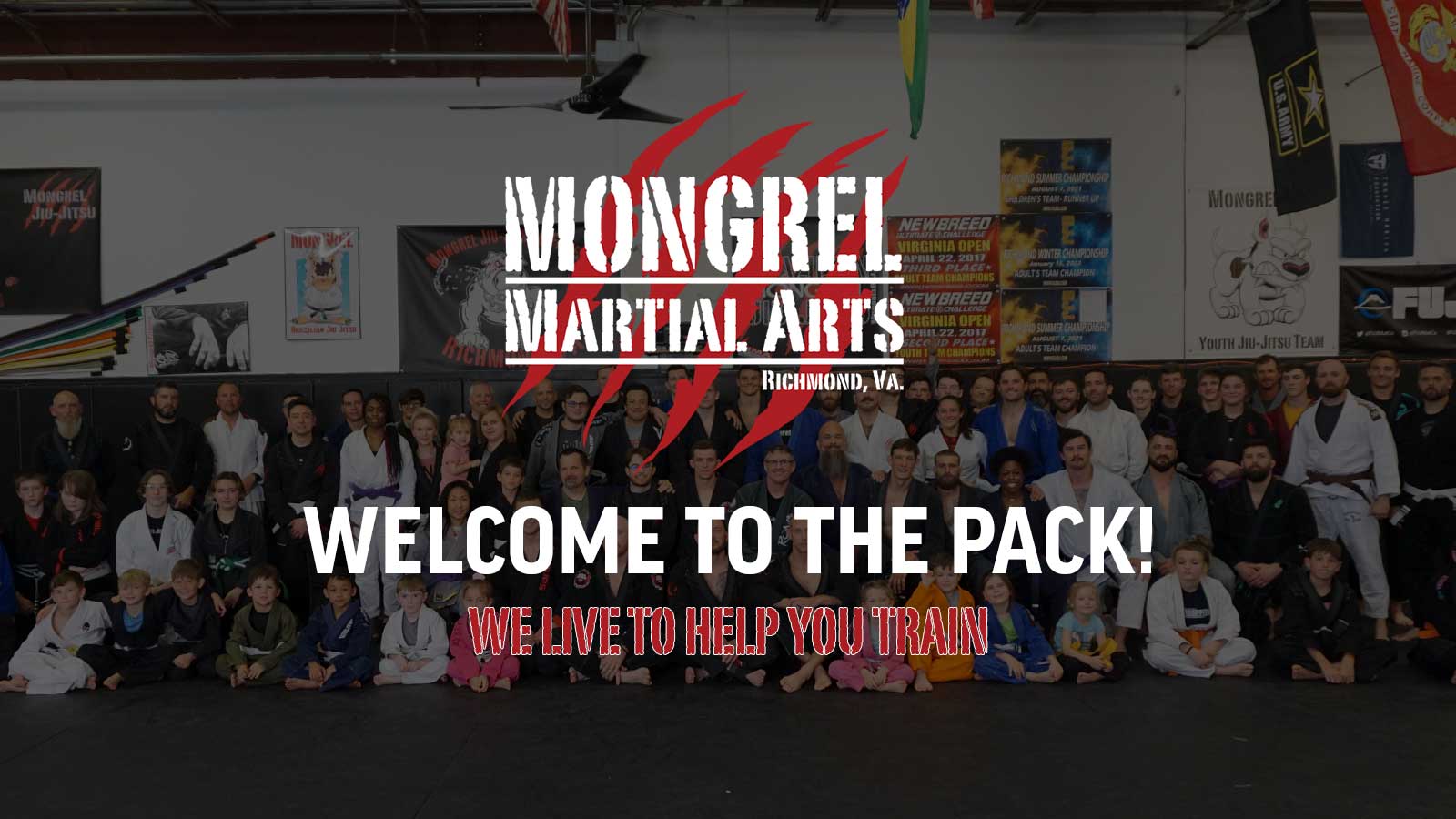 Read More about Mongrel Martial Arts. Our Values and People.